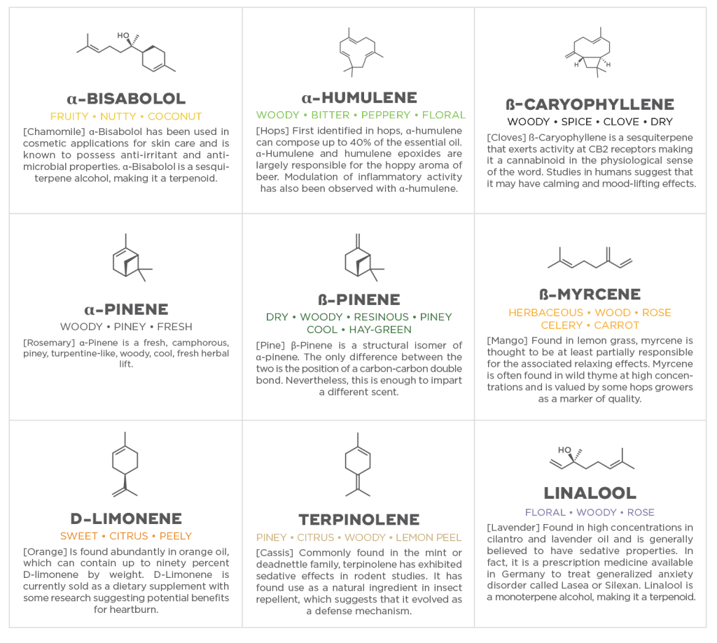 Enhance Cannabis Products with Flavors | The Werc Shop